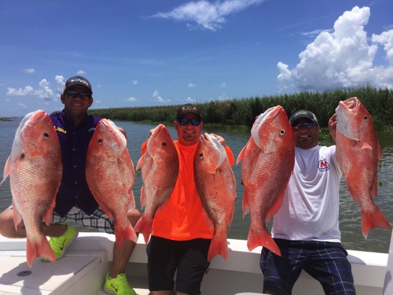 Venice Speckled Trout Venice Redfish